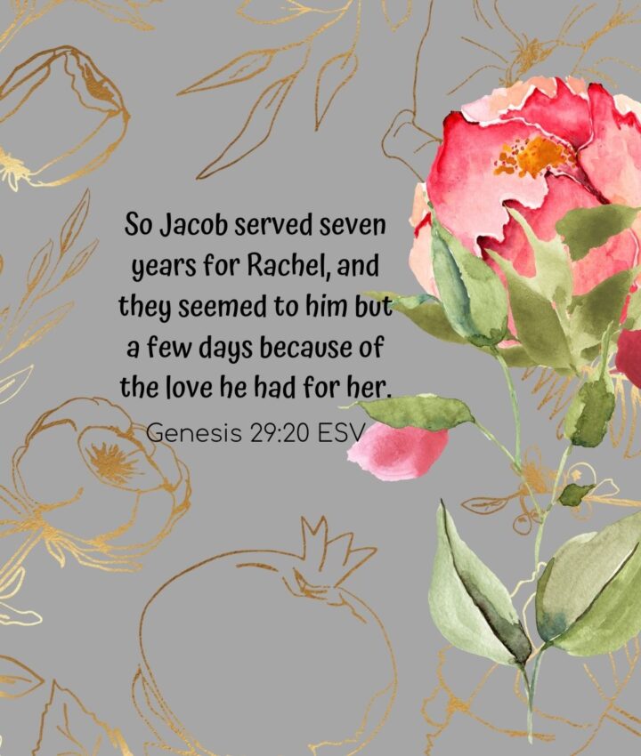 20 Beautiful Bible Verses for Valentine's Day | Healing Home