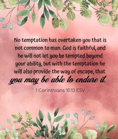 10 Powerful Scriptures on Self-Control and How it Applies to our ...