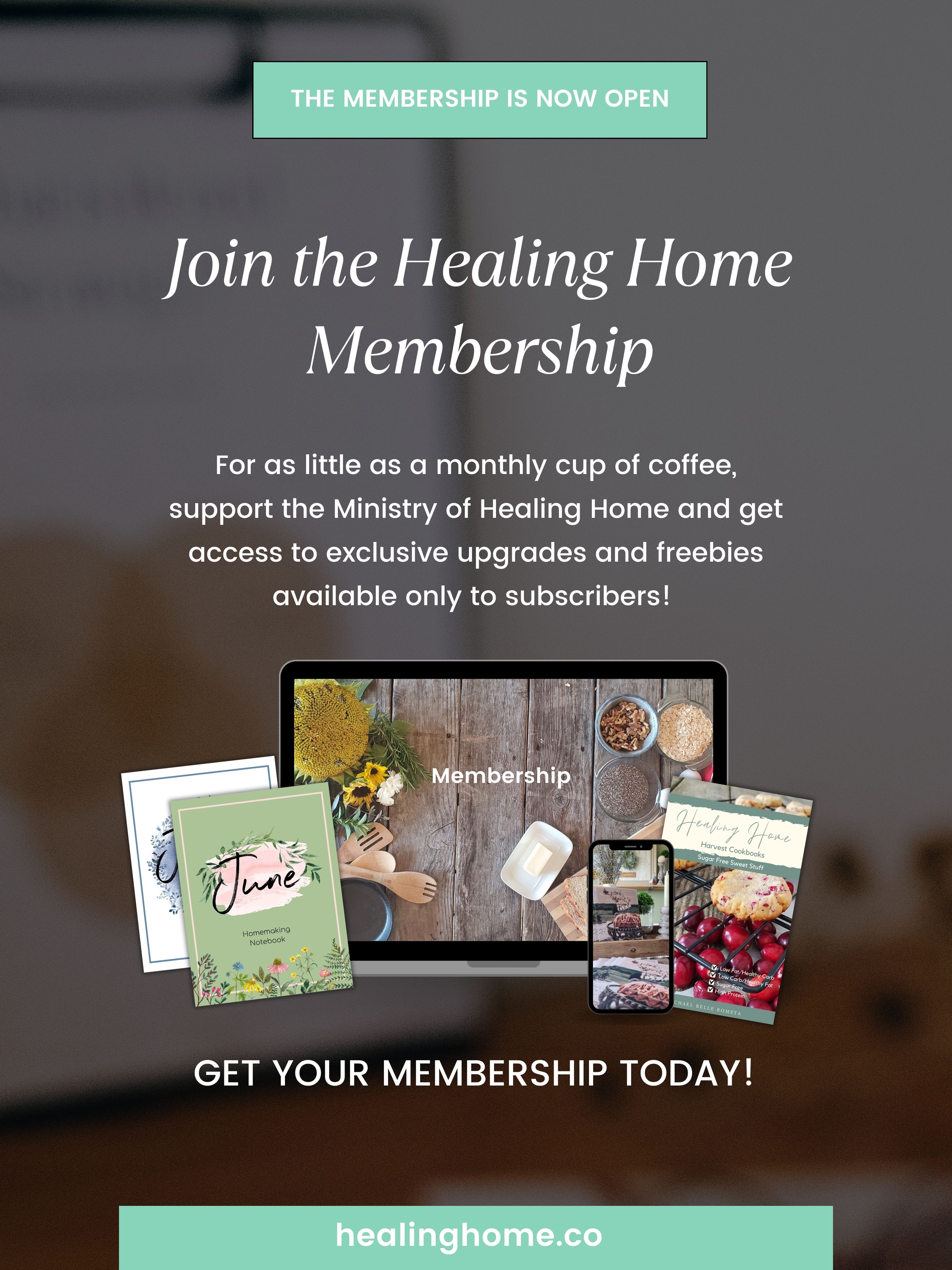 Homemaking Binder with Free Printables (Monthly) | Healing Home