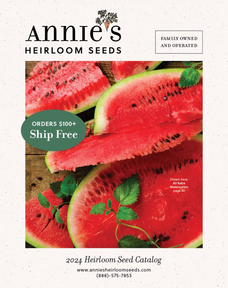 Free Homesteading Catalogs - A Comprehensive List! | Healing Home