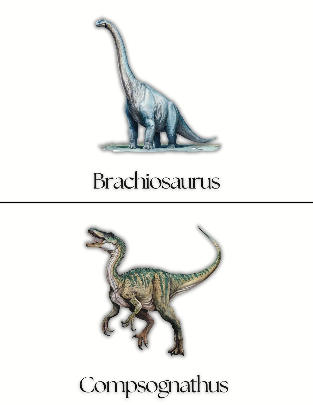 Free Dinosaur Bingo Printable | Healing Home