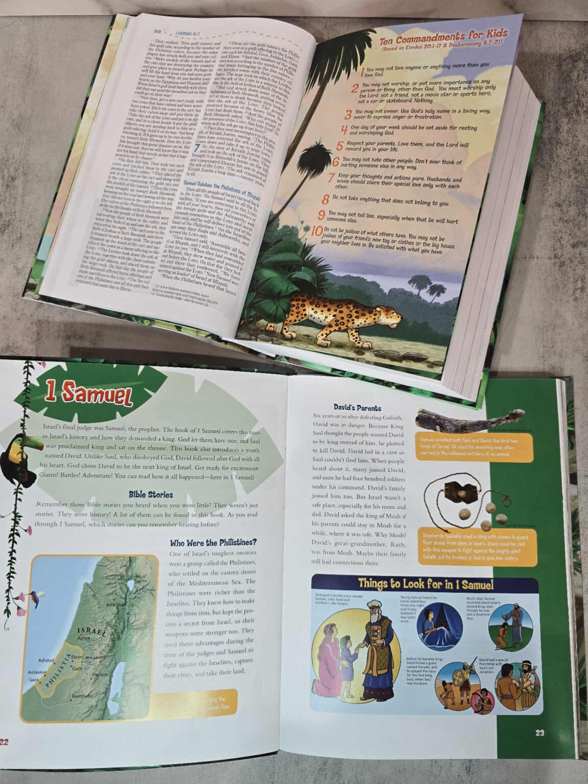 The Adventure Bible AND Guide | Healing Home