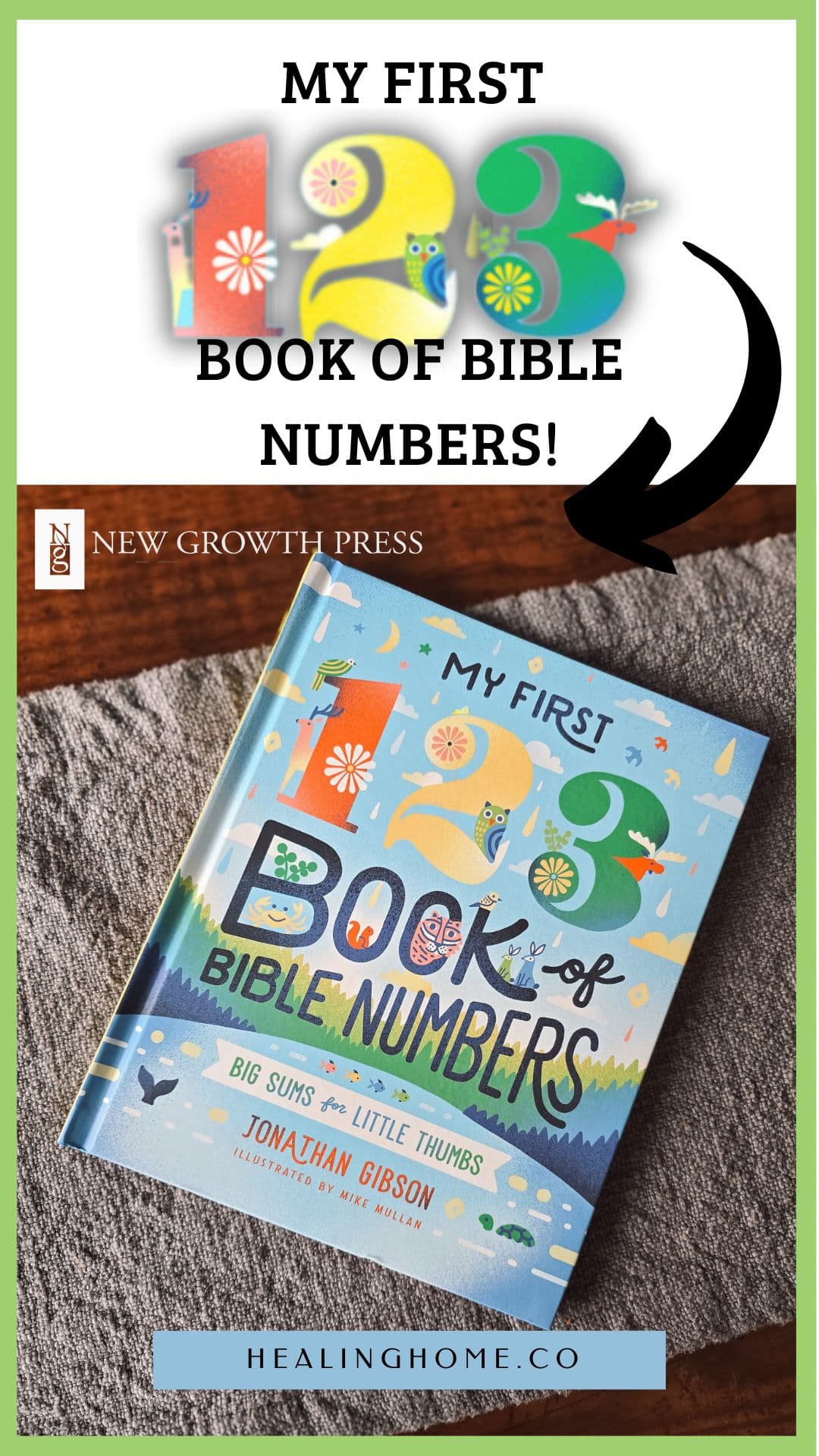 My First 123 Book of Bible Numbers - Big Sums for Little Thumbs ...