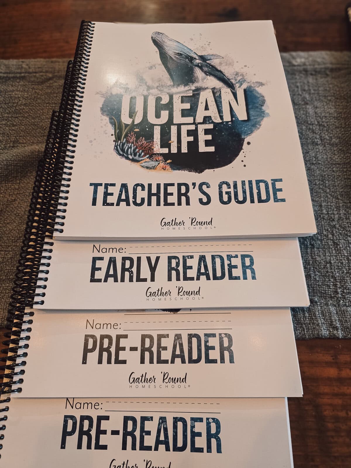 Our Homeschool Unit Studies Curriculum 2025-2026 | Healing Home