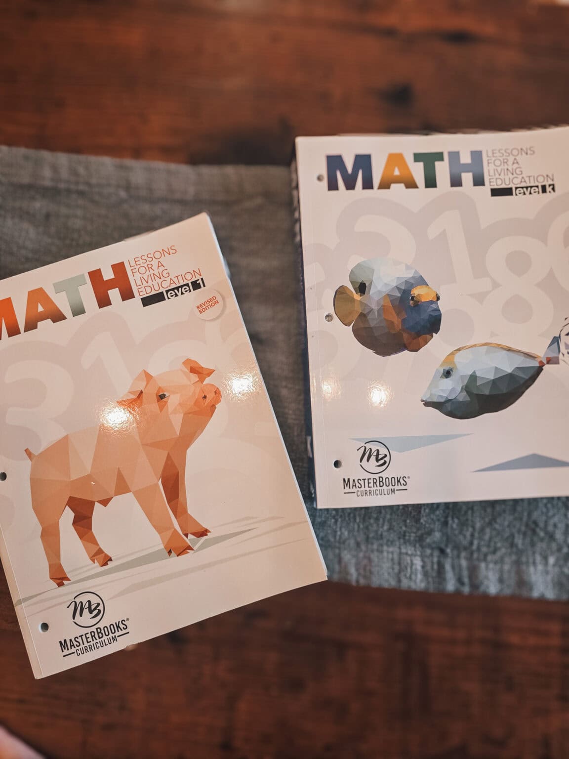 Our Homeschool Unit Studies Curriculum 2025-2026 | Healing Home